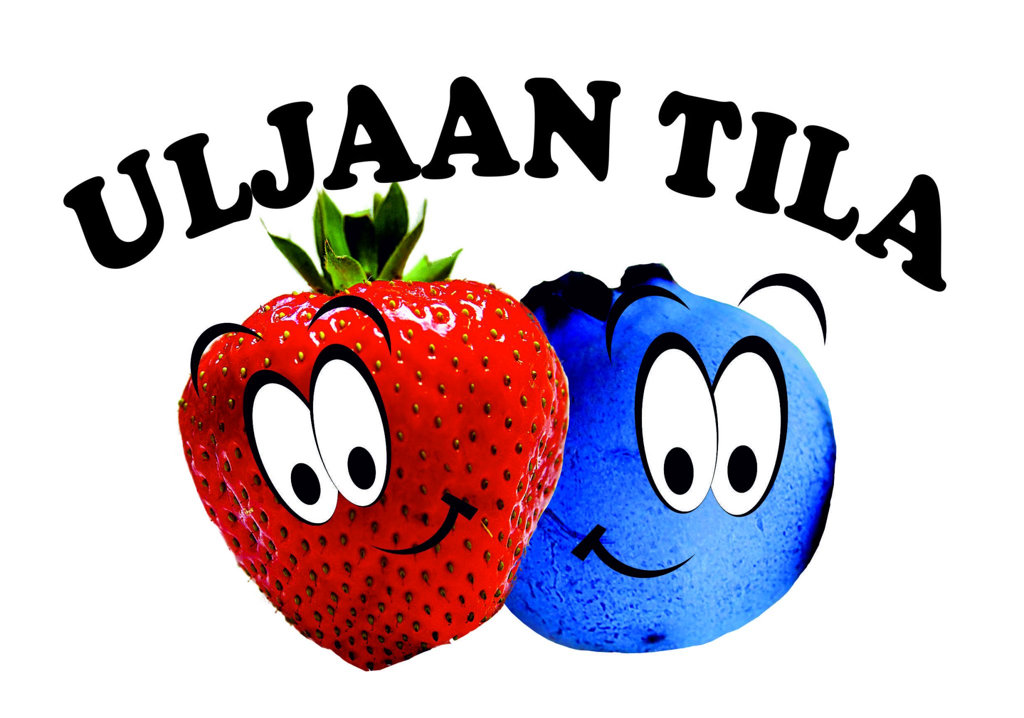 Yhteystiedot – Uljaan tila